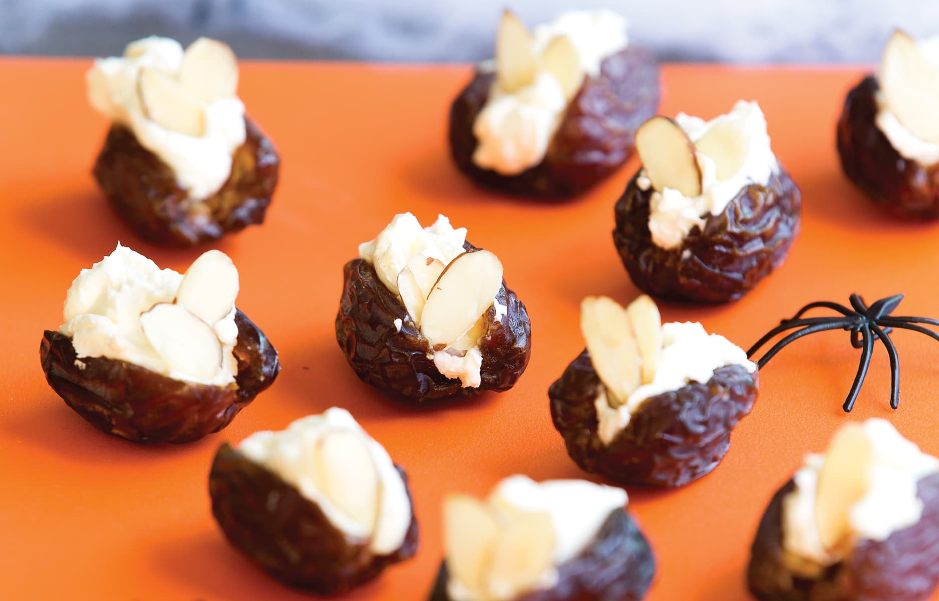 Cockroaches - Healthy Food Guide