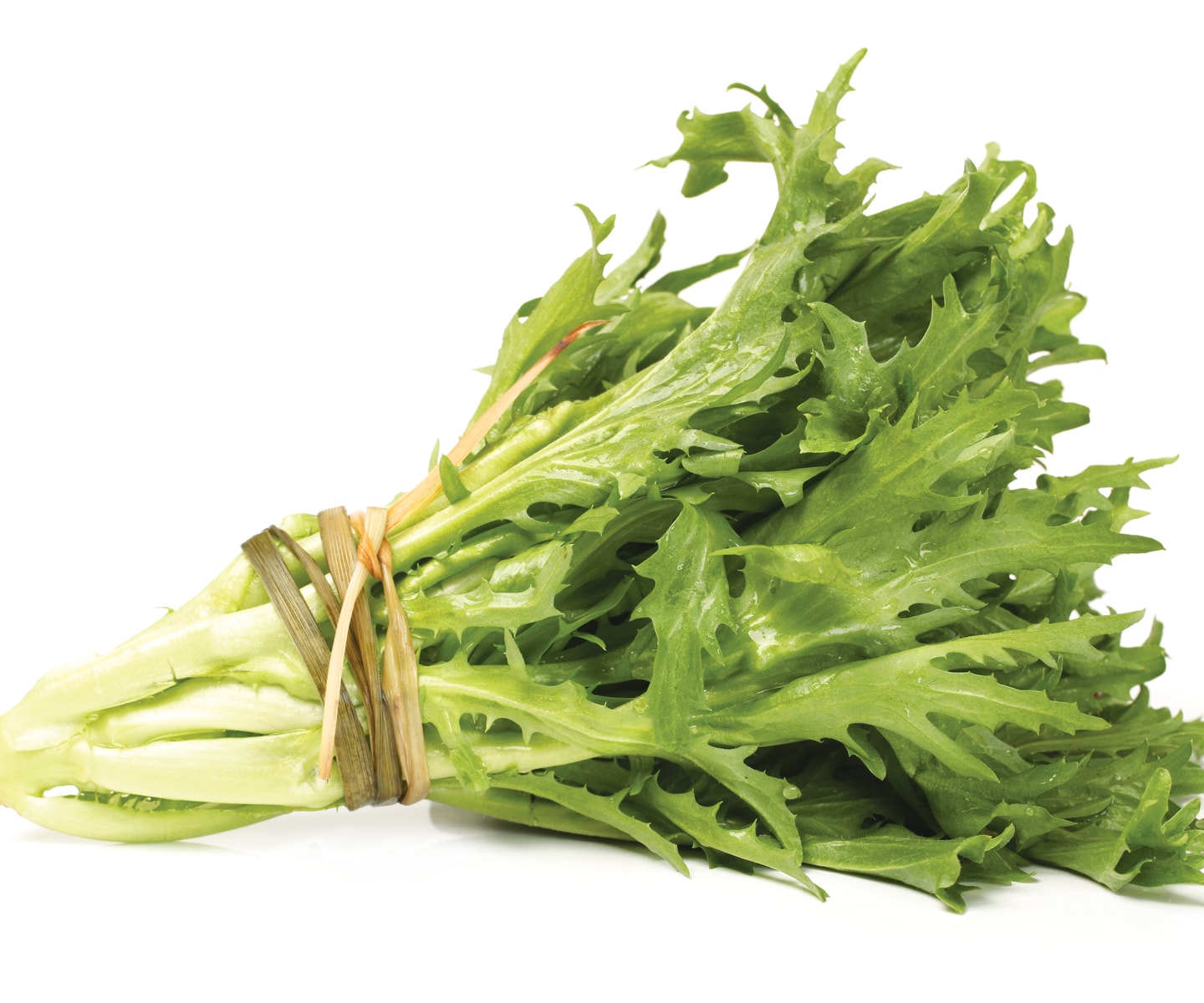 In season early spring: Endives - Healthy Food Guide