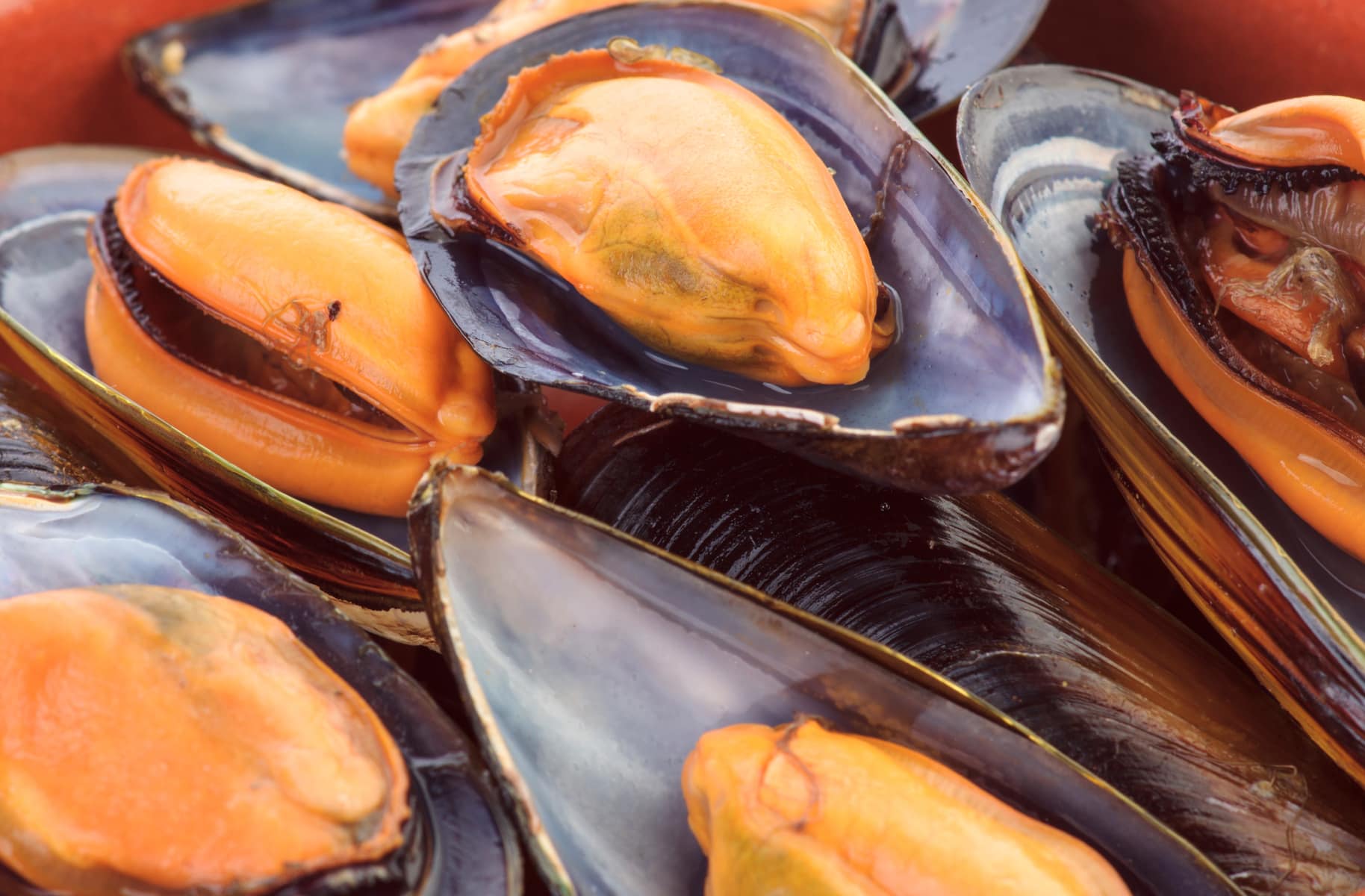 Ask the experts: Cholesterol in seafood - Healthy Food Guide