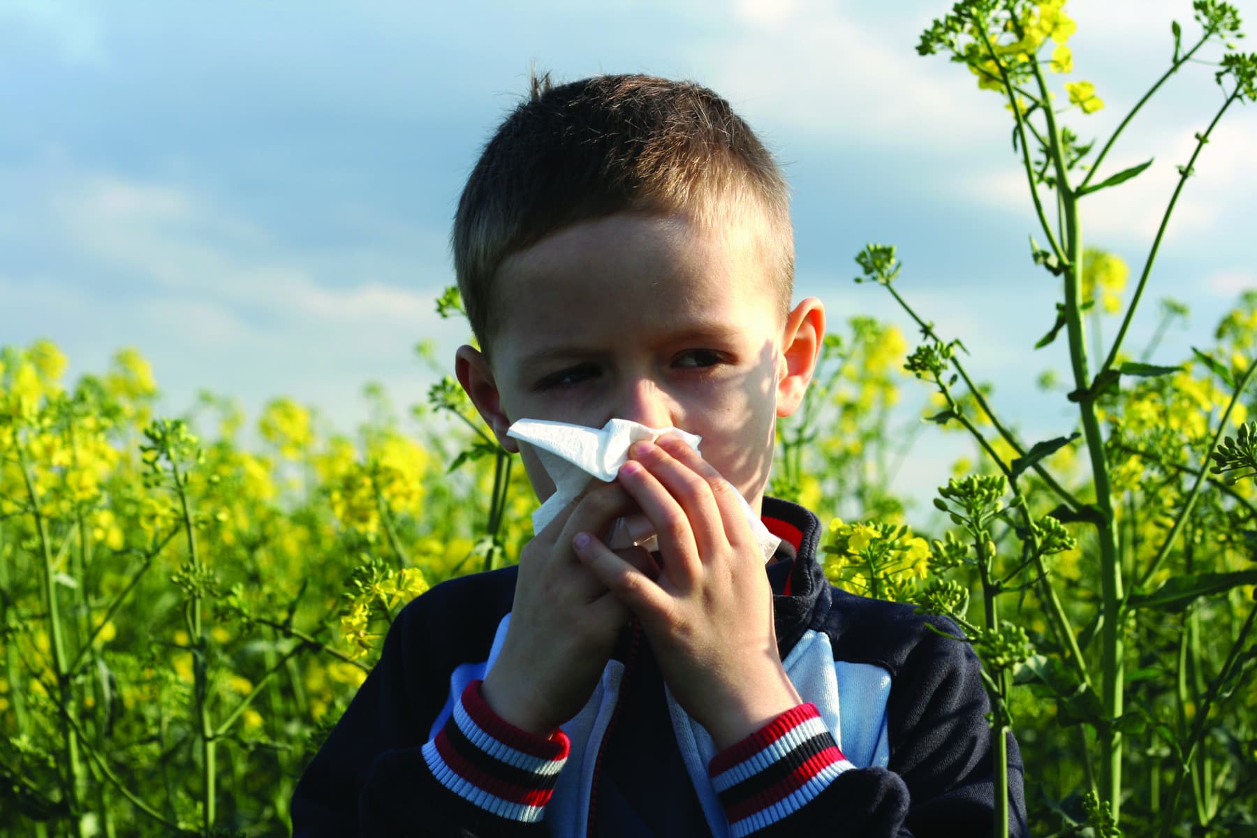 Ask the experts: Dripping and lard helps allergies? - Healthy Food Guide