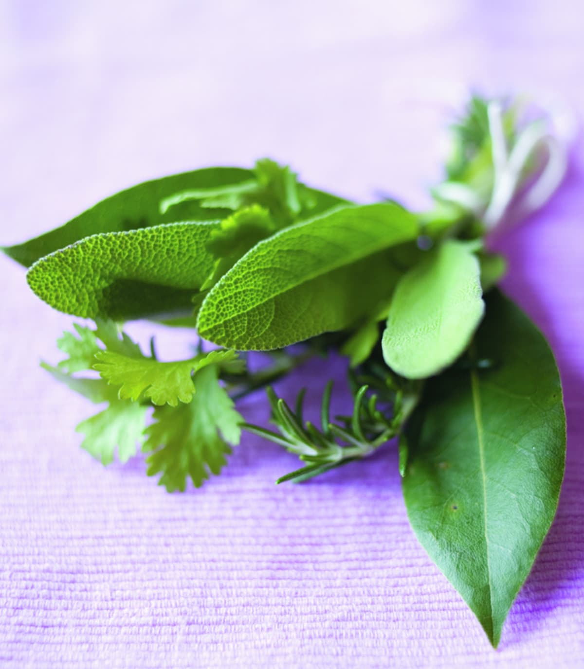 Back to basics: Herbs - Healthy Food Guide