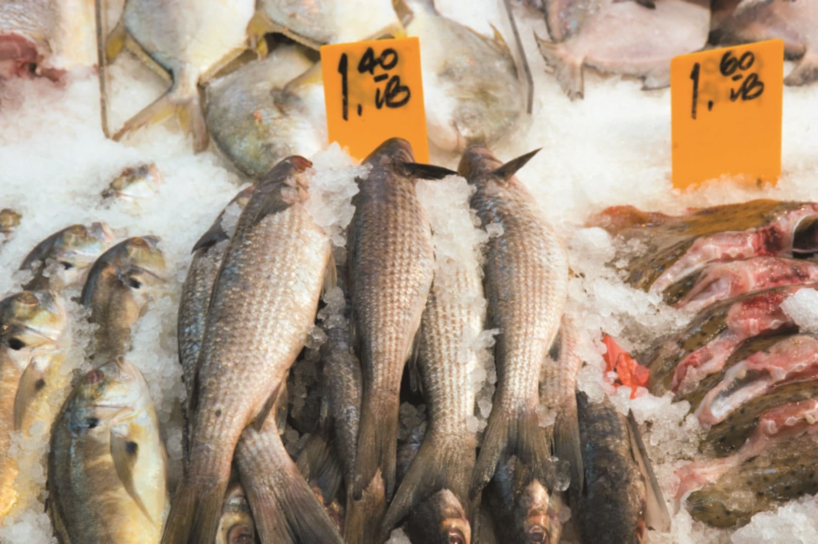 Buyer's guide to fish - Healthy Food Guide