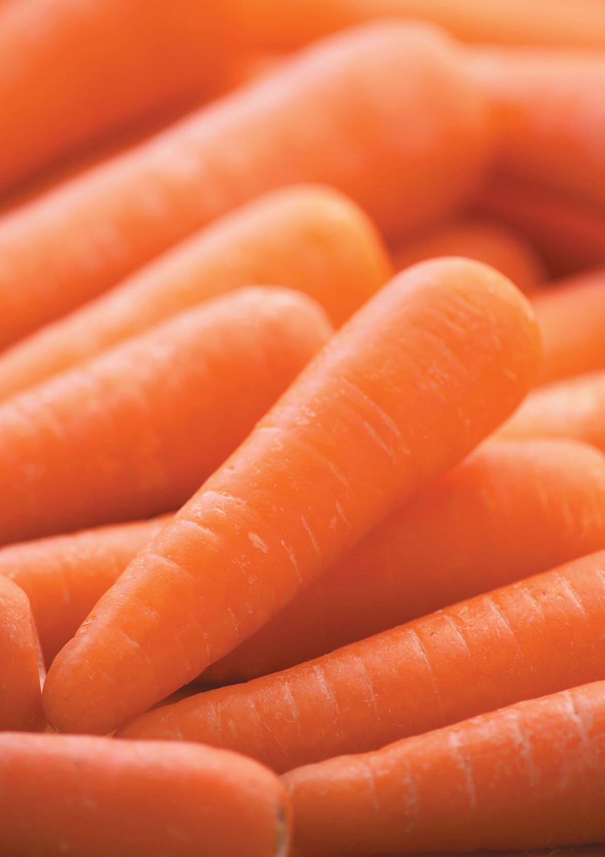 Edible garden: Growing carrots - Healthy Food Guide