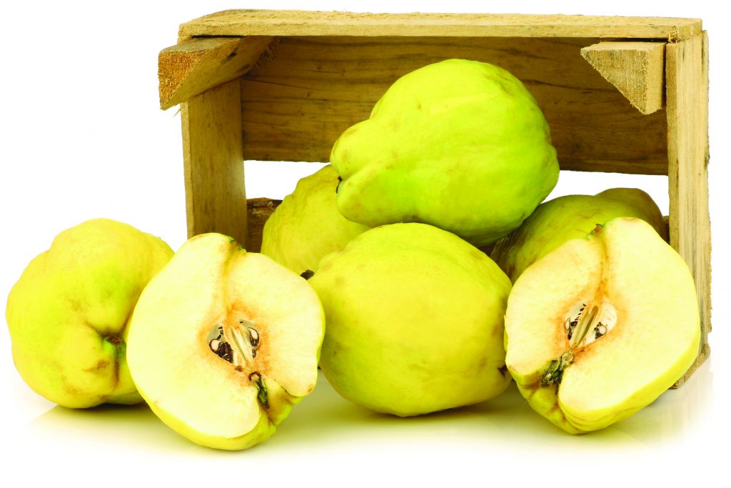 In season mid-autumn: Quince - Healthy Food Guide