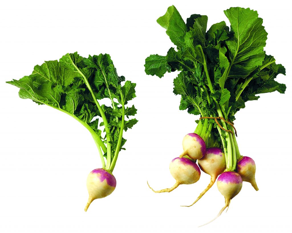 In season mid-autumn: Turnips - Healthy Food Guide