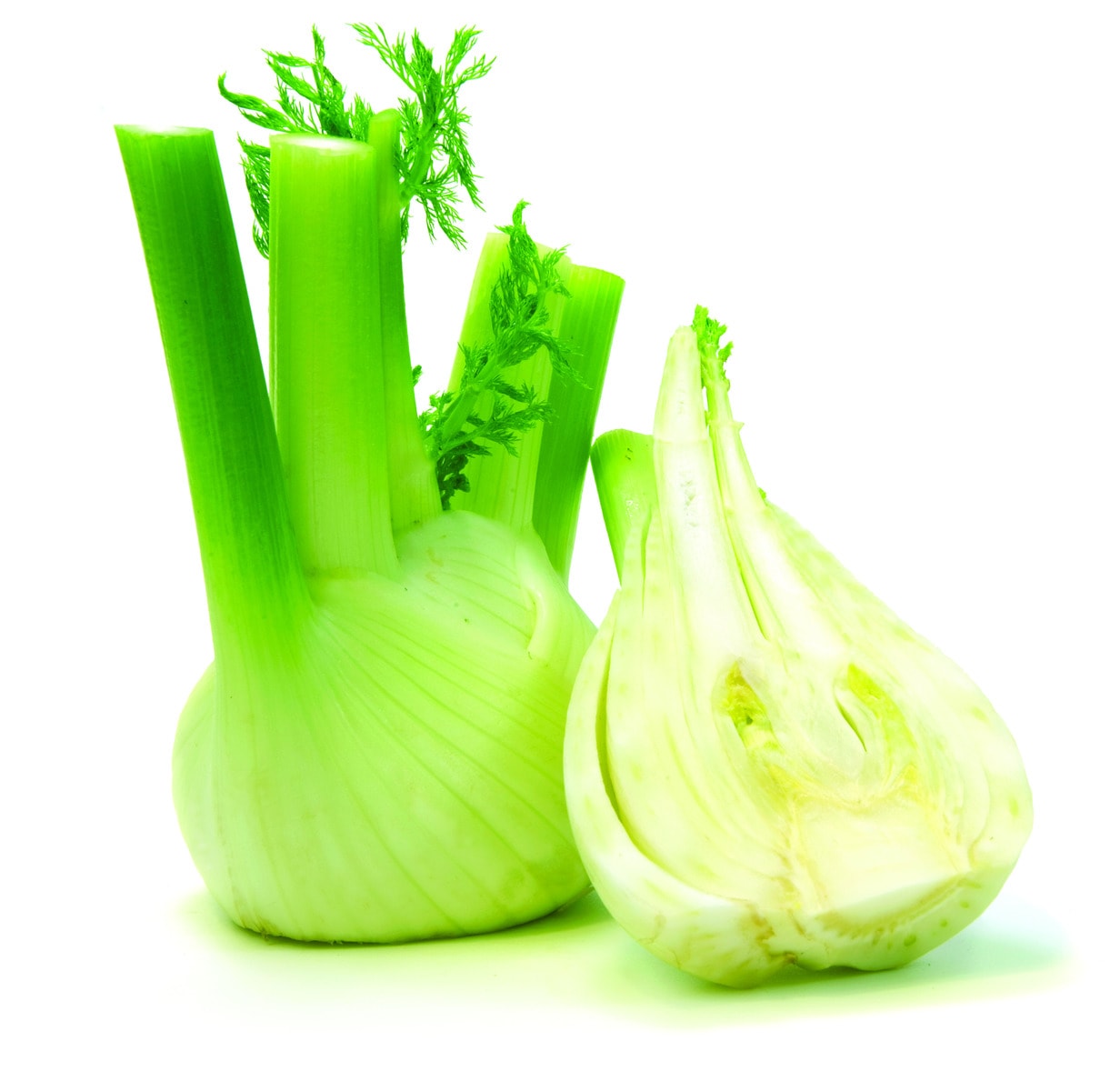 In season late winter: Fennel - Healthy Food Guide
