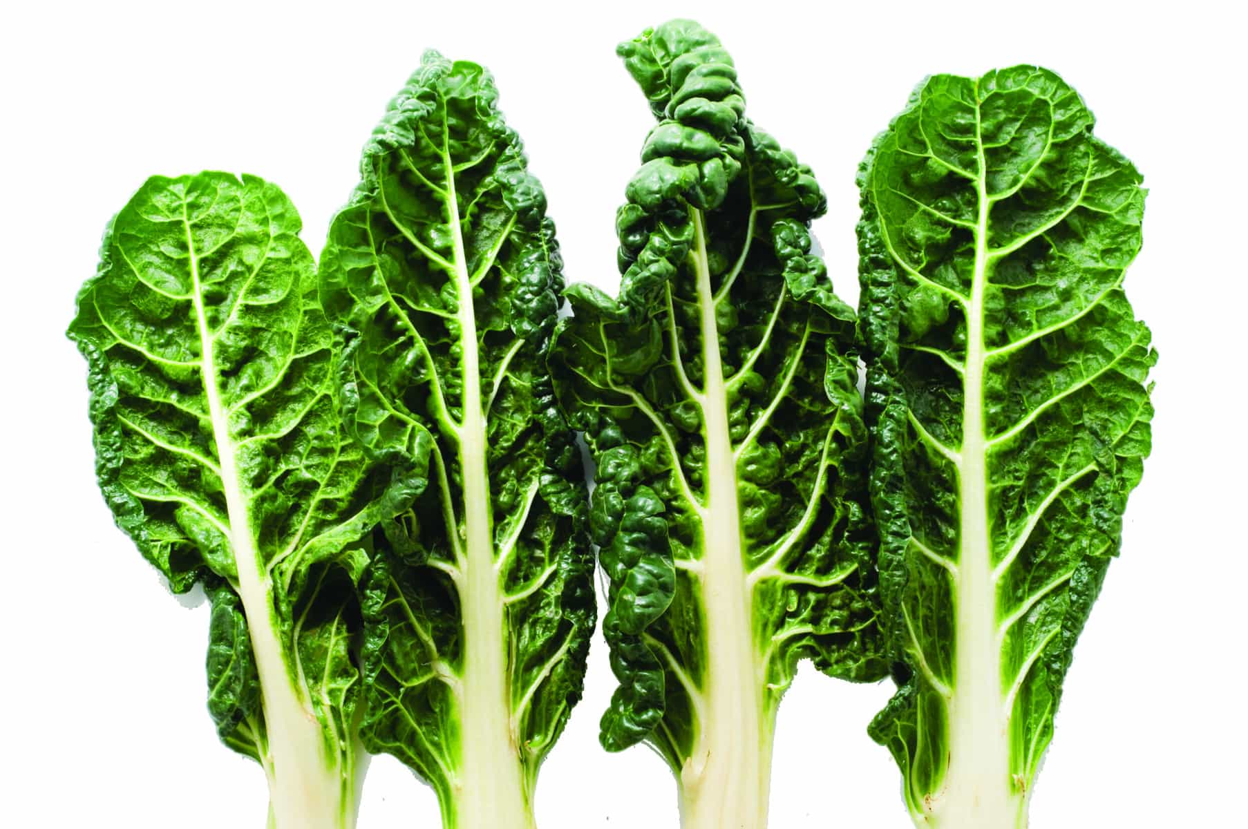 In season late winter: Silver beet - Healthy Food Guide