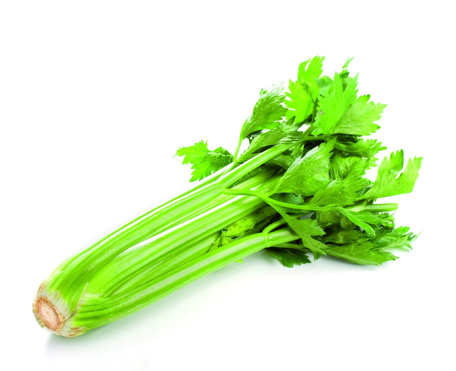 In season: Celery - Healthy Food Guide