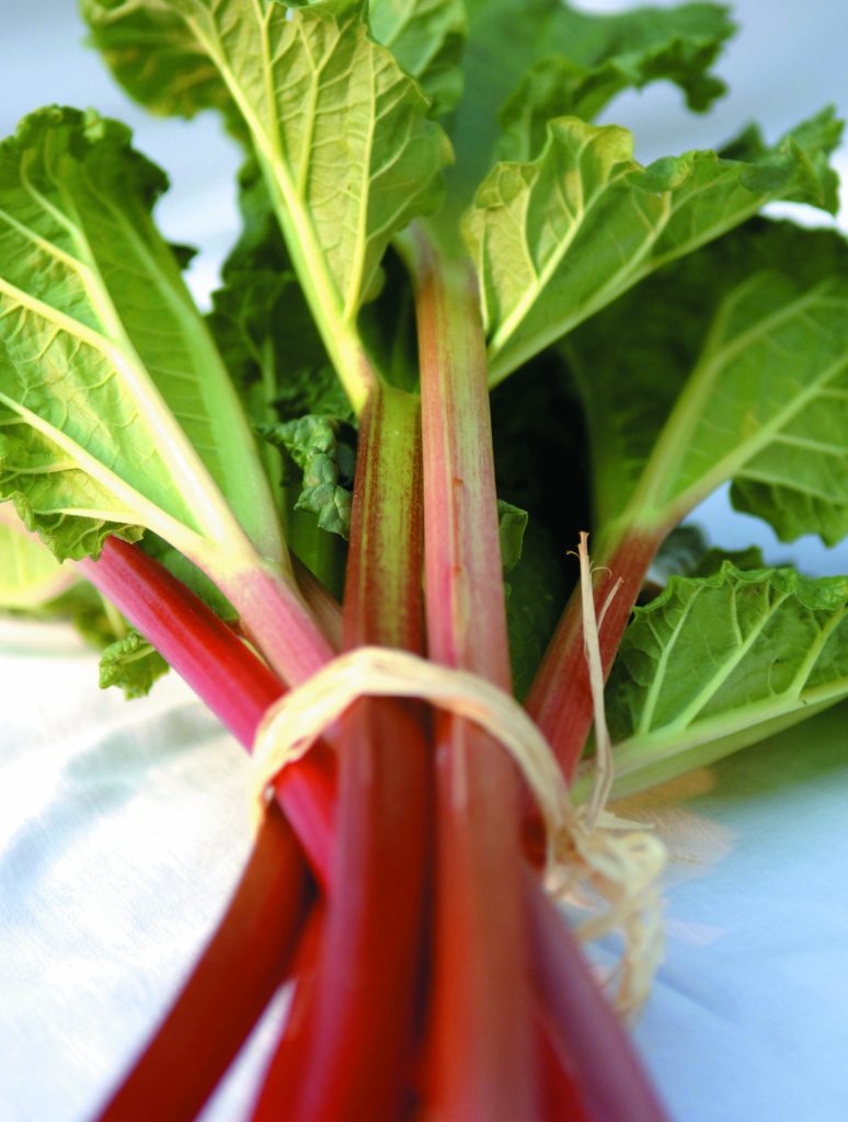 In season early winter: Rhubarb - Healthy Food Guide