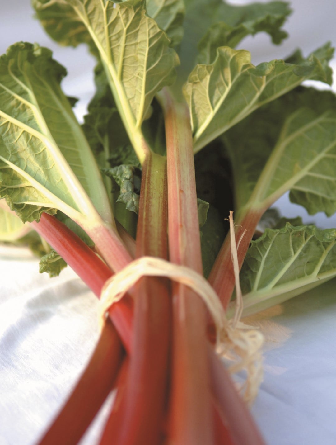 In season early winter: Rhubarb - Healthy Food Guide