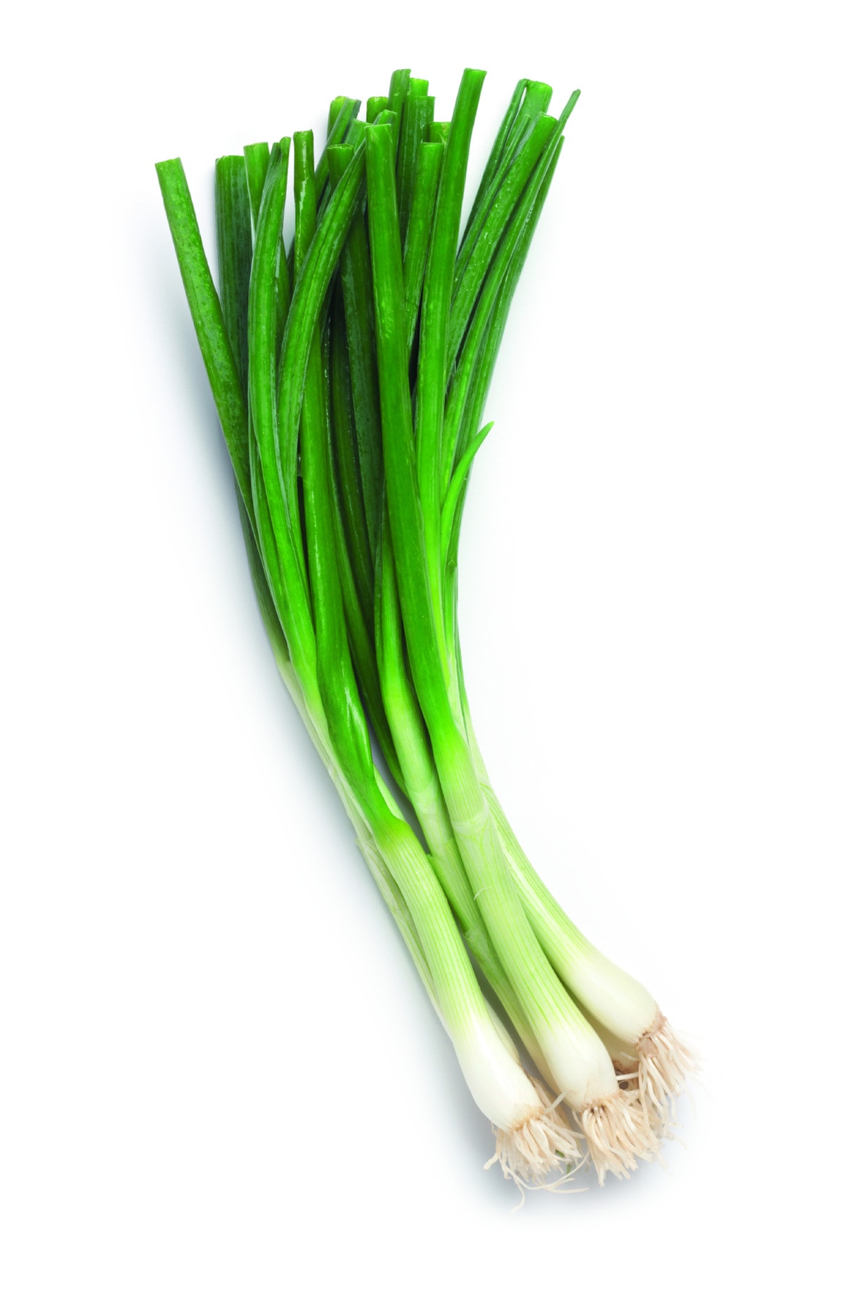 In season early autumn: Spring onions - Healthy Food Guide