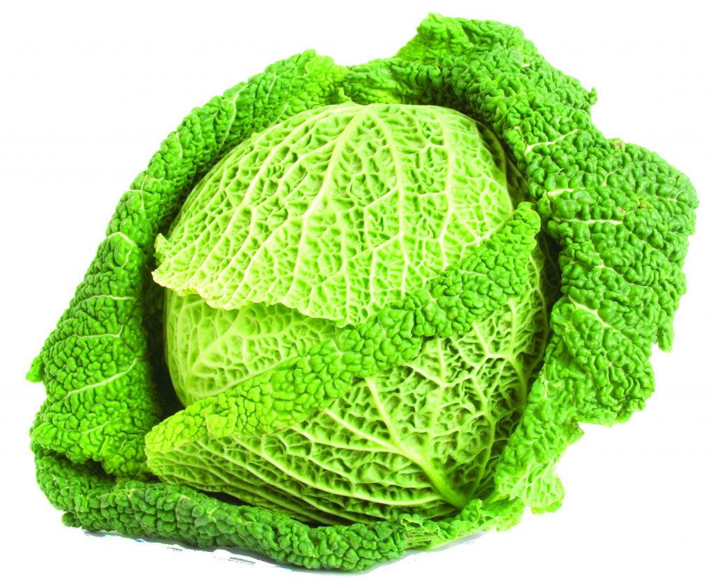 In season late autumn: Cabbage - Healthy Food Guide