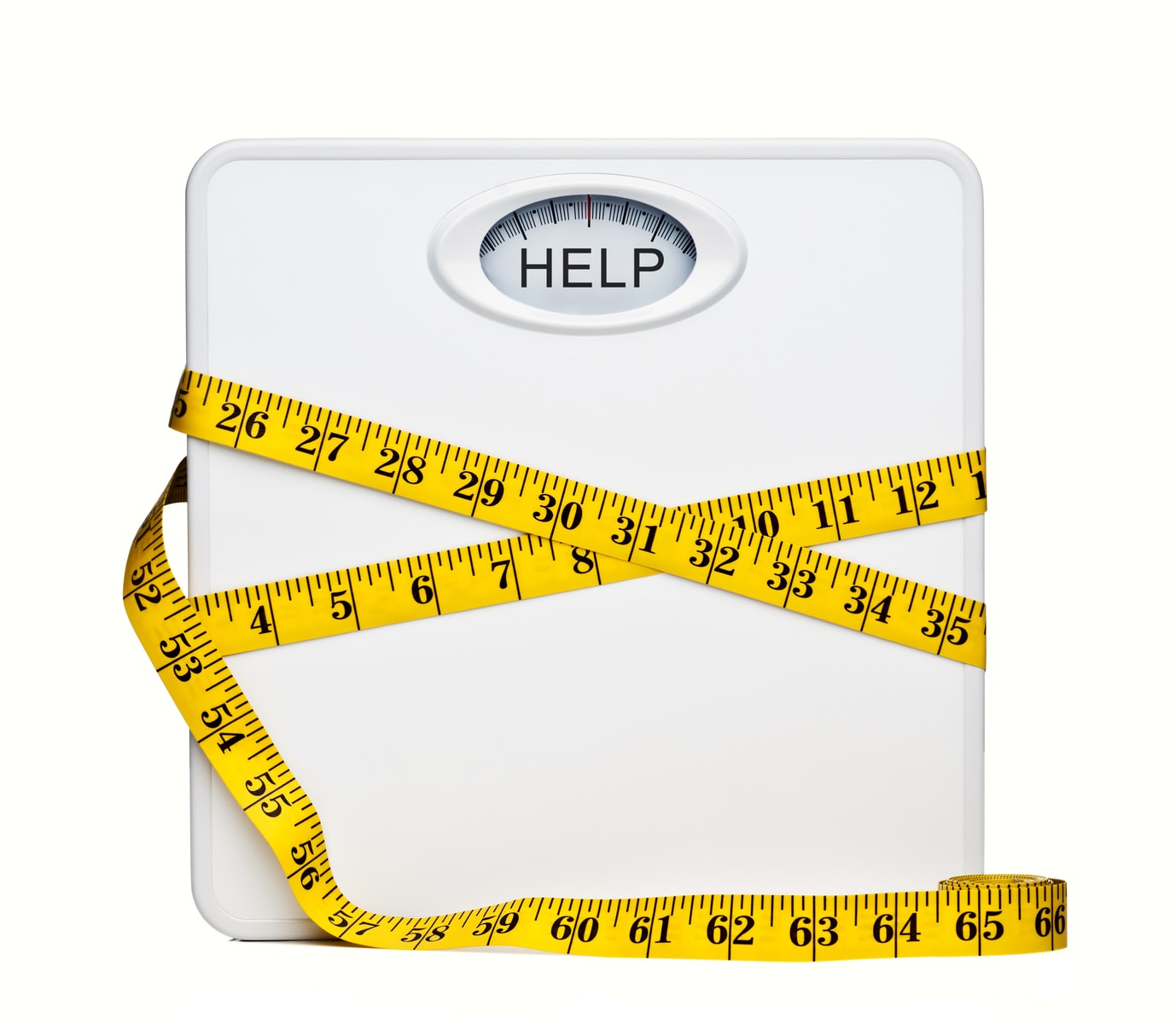 Joining up to slim down: SureSlim - Healthy Food Guide