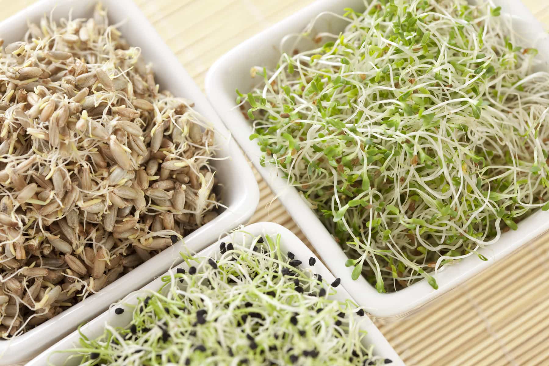 Sprout your own seeds - Healthy Food Guide
