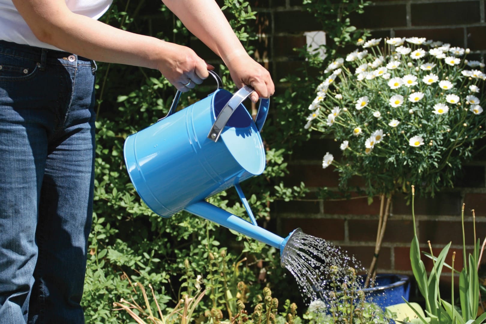 Time for tea - Healthy Food Guide