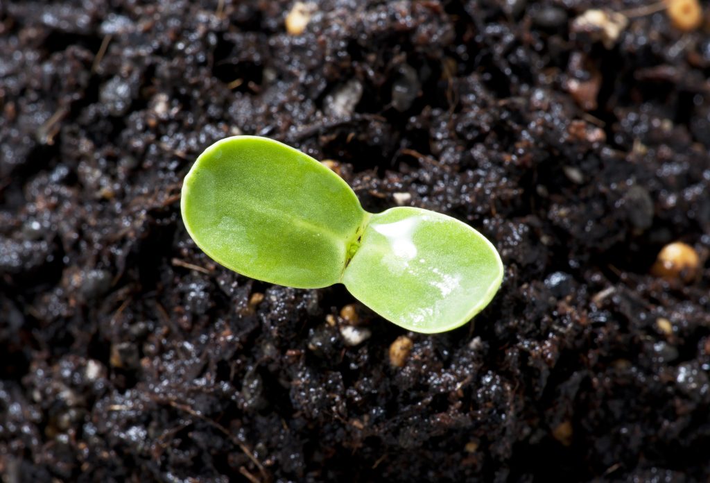 What does 'natural' mean? - Healthy Food Guide