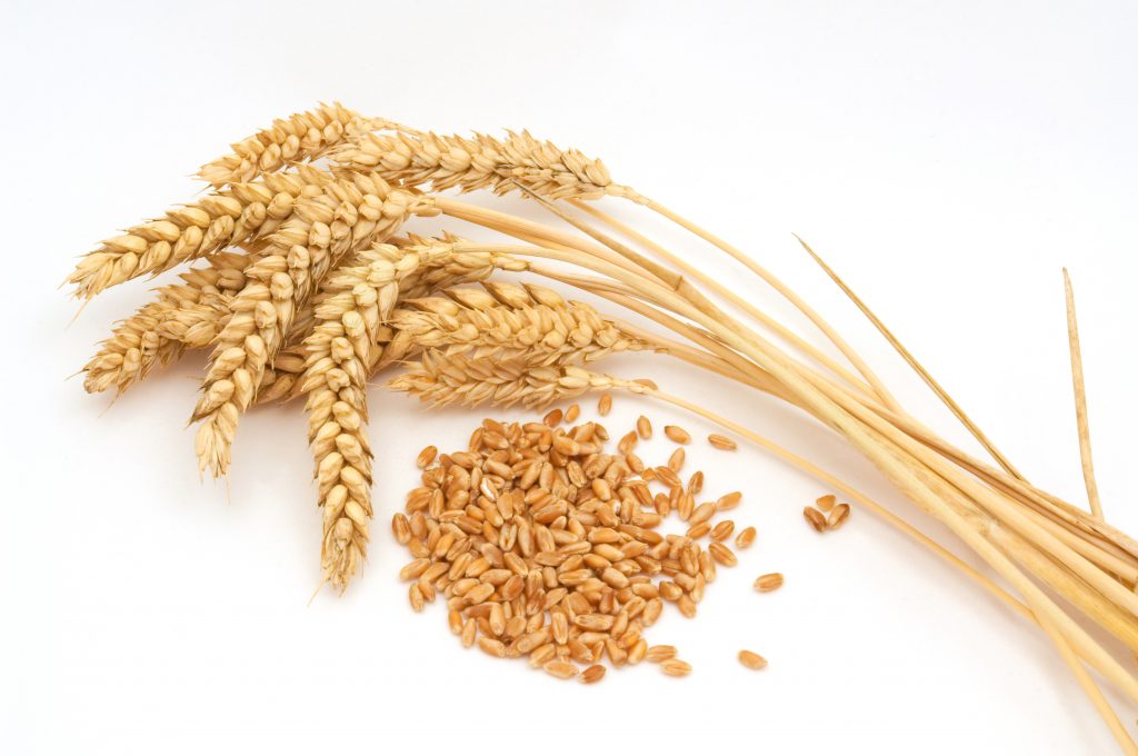 What Does whole Grain Mean Healthy Food Guide