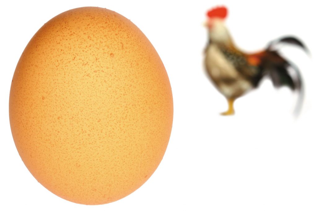 What is free range? - Healthy Food Guide