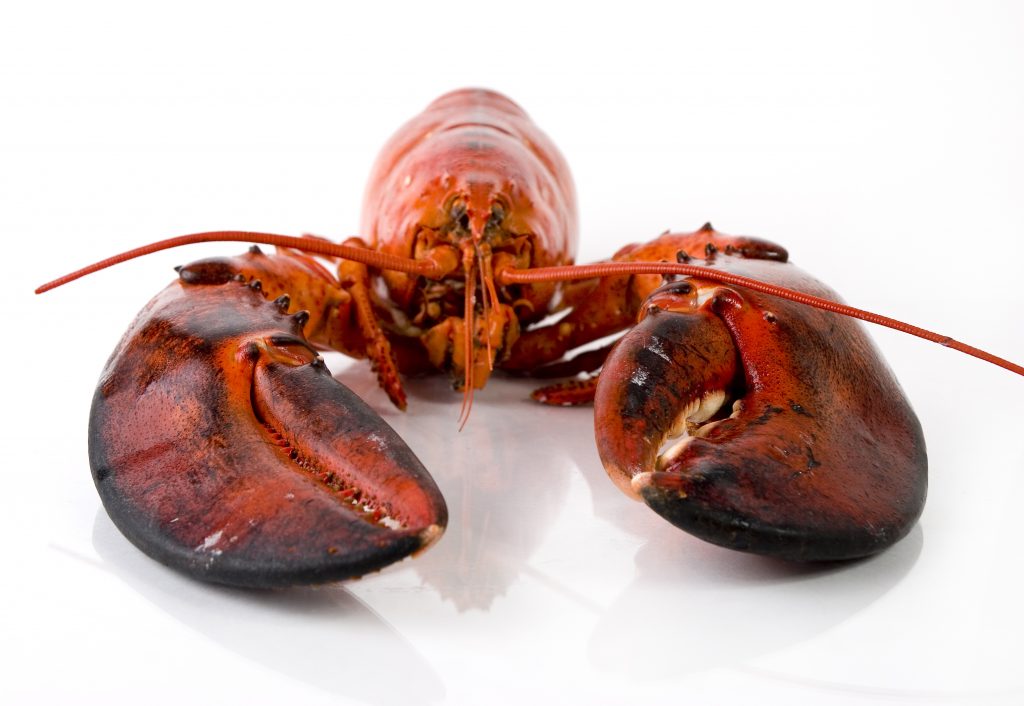 Why we like shellfish - Healthy Food Guide