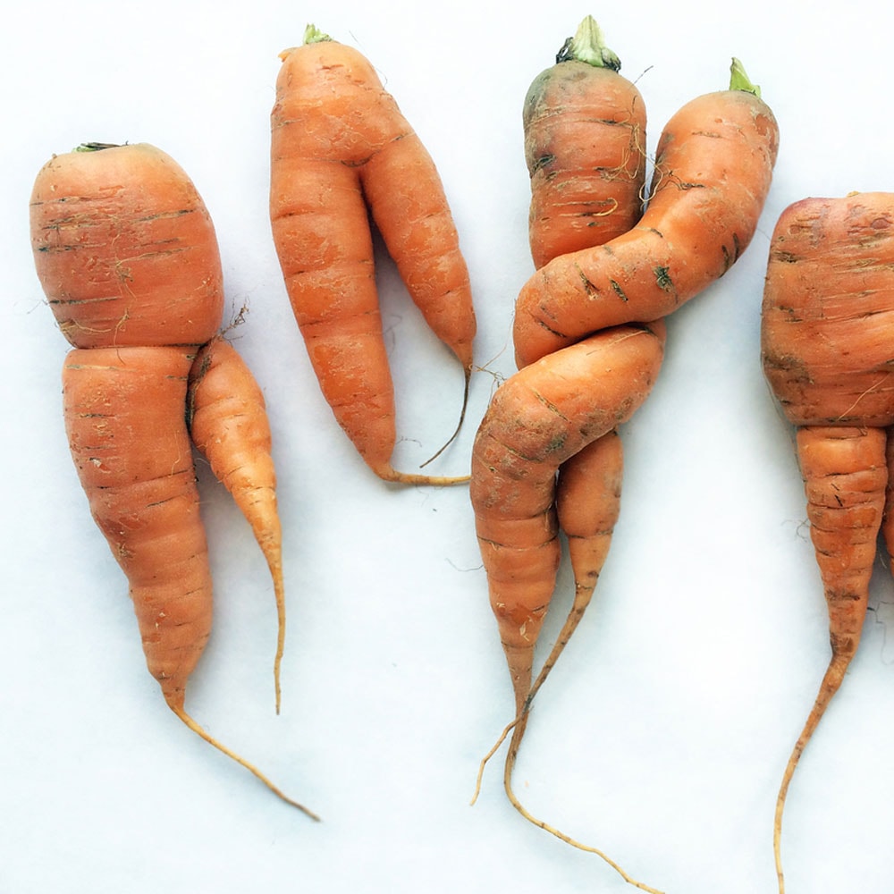 ‘Ugly’ produce sales to fight waste - Healthy Food Guide