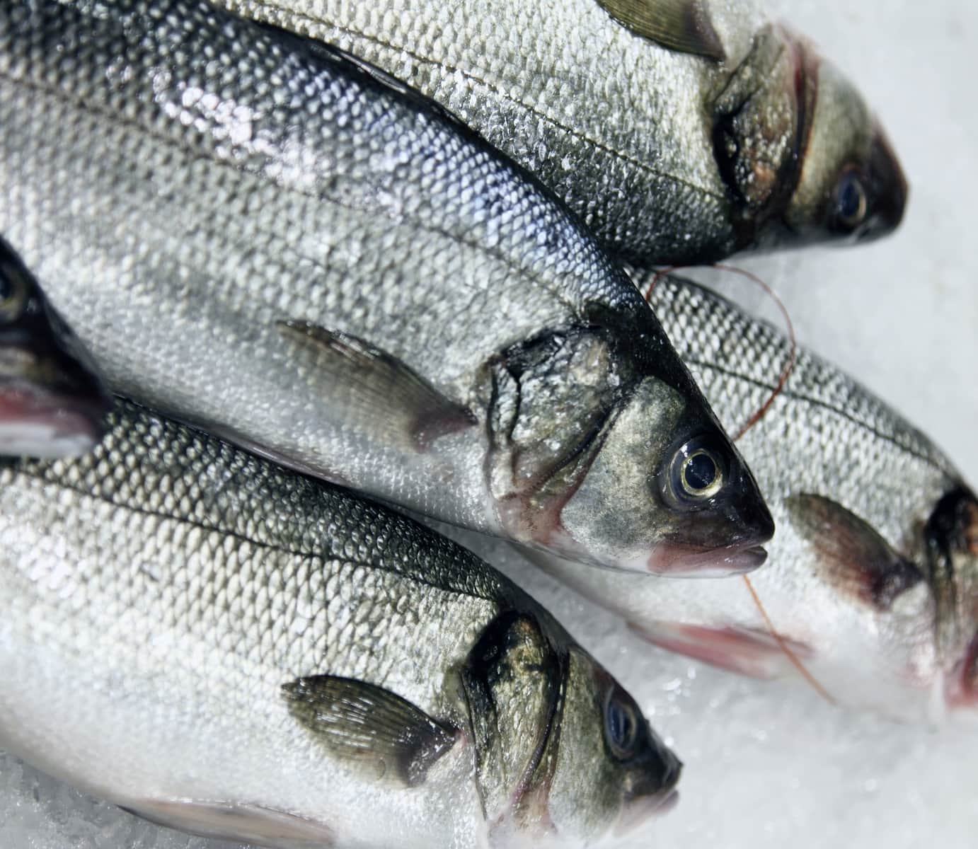 Guide to buying fish - Healthy Food Guide