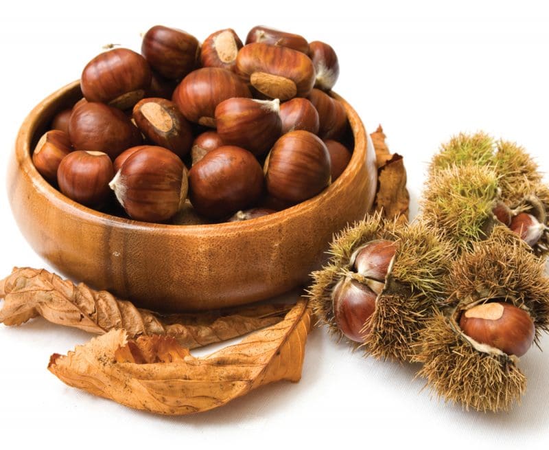 In season late autumn: Chestnuts and Granny Smith apples - Healthy Food ...