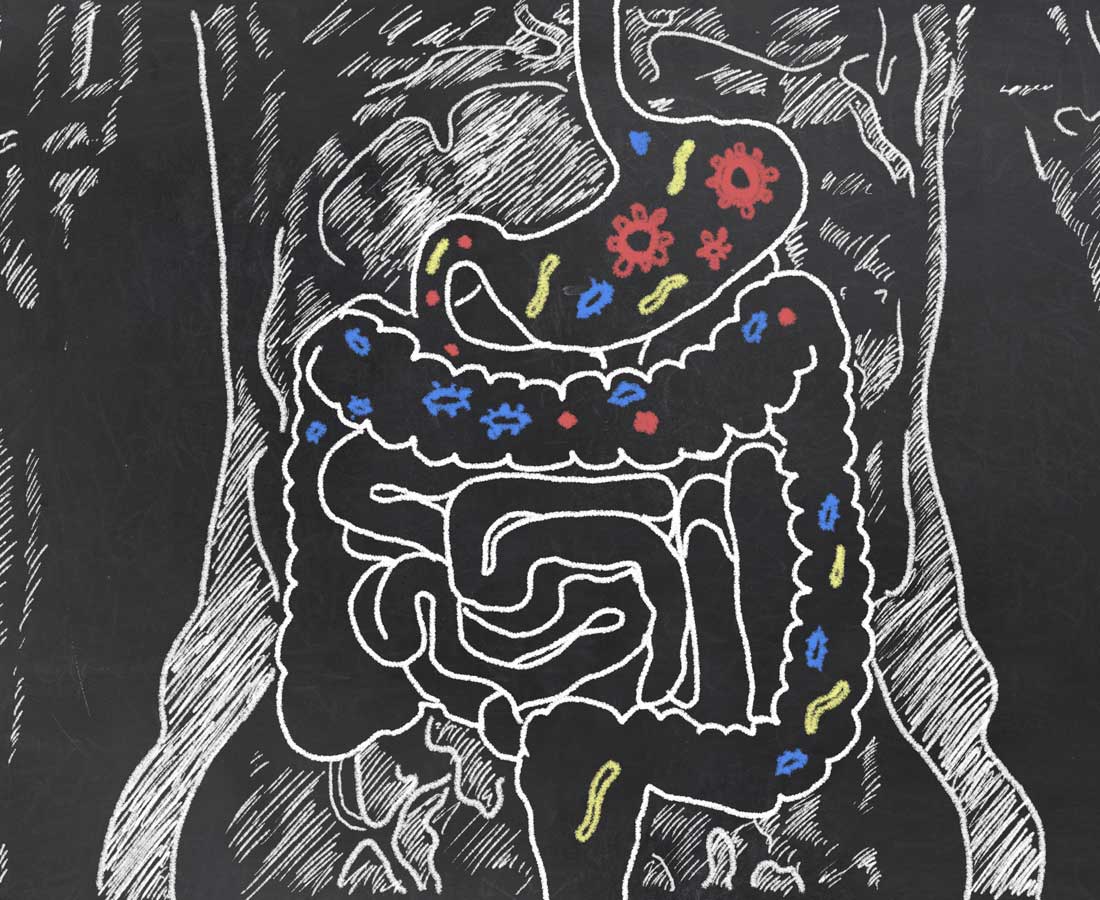 Anti-nutrients: What they are and their benefits - Healthy Food Guide