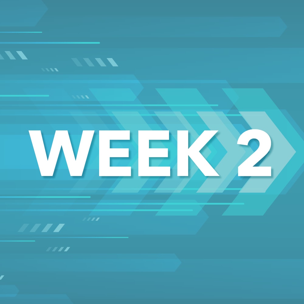Week two - Healthy Food Guide