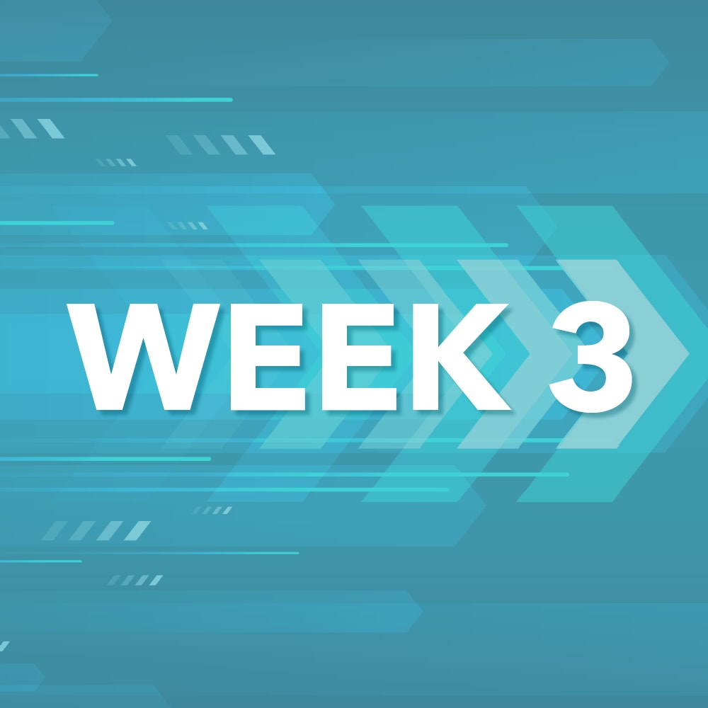 Week three - Healthy Food Guide