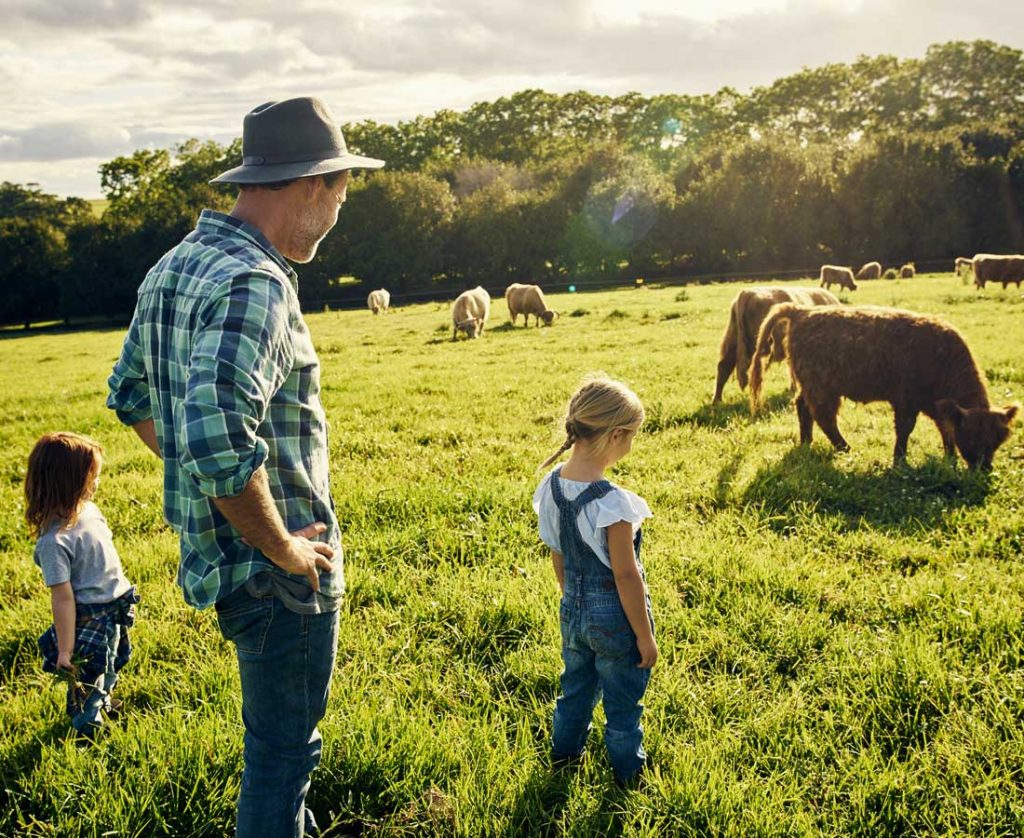 Better farms fight climate change more than plant-based diet alone ...