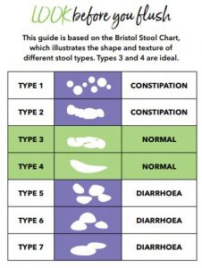 Gas, bloating and bowel movements: What's normal? - Healthy Food Guide