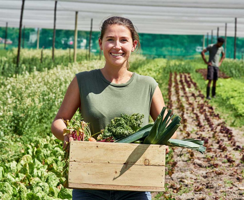 A global plant-based diet may put a pause on climate change - Healthy ...