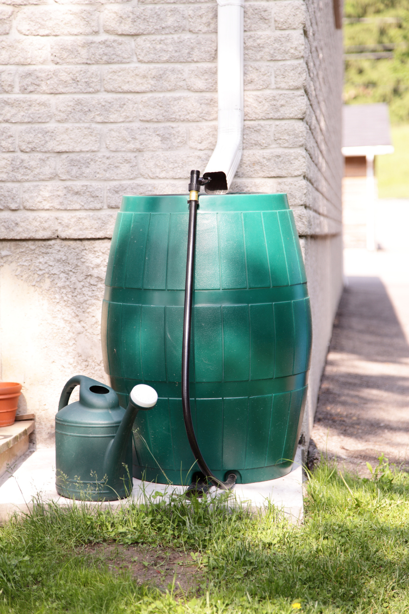 5 simple ways to save water (and money) - Healthy Food Guide