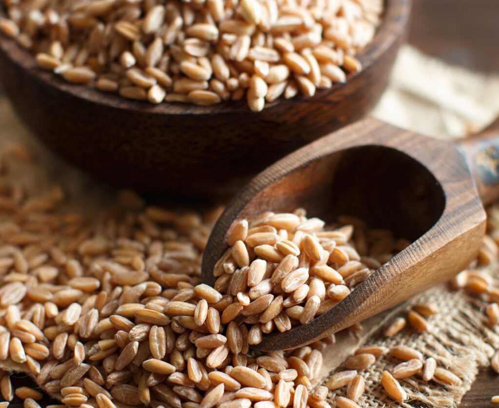 Your guide to good grains - Healthy Food Guide