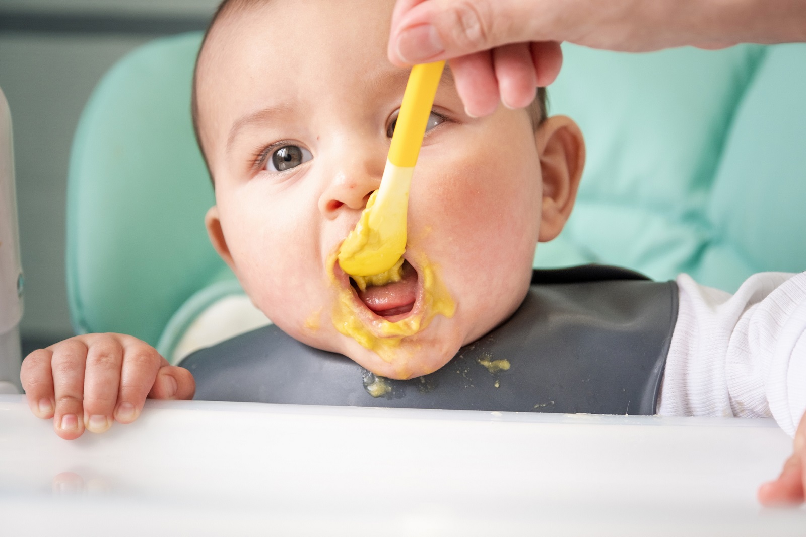 Your guide to choosing baby foods - Healthy Food Guide