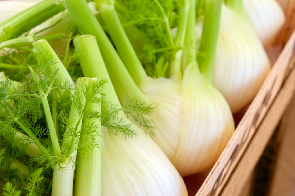 The health benefits of fennel - Healthy Food Guide